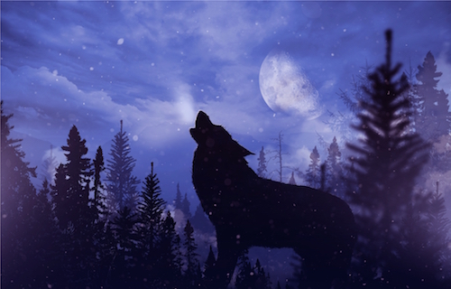 Moon Forest Wolf